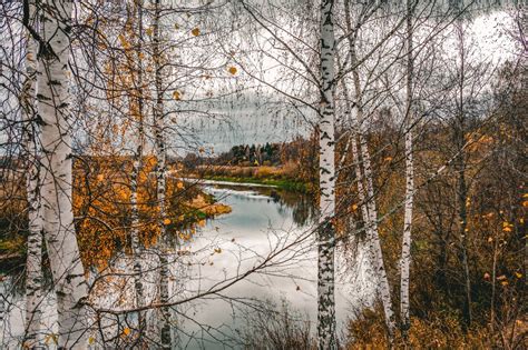 Поздняя осень 76 фото