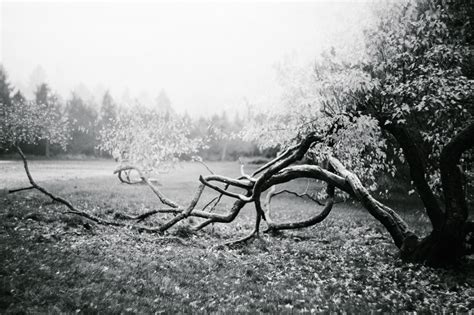 Janina Daria Witkowski Lilith Osk