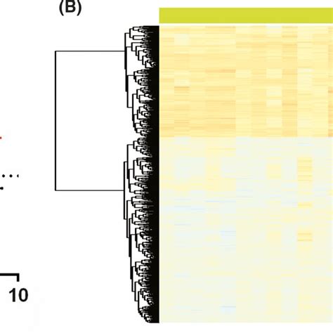 Validation Of The Classification Based On Lymphocyte And Neutrophil