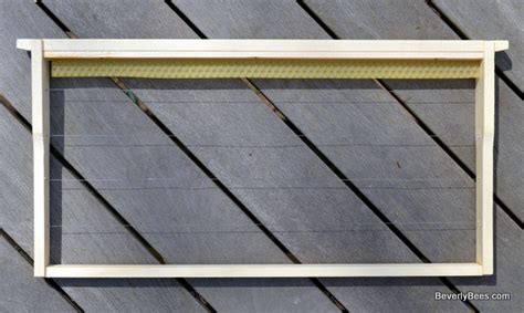 Foundationless Frames Are Working Willow Hive Check 4 26 12