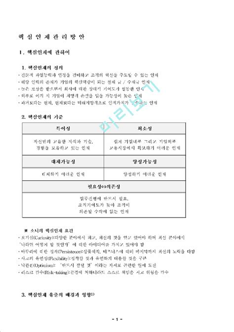 핵심인재 관리 방안경영경제레포트
