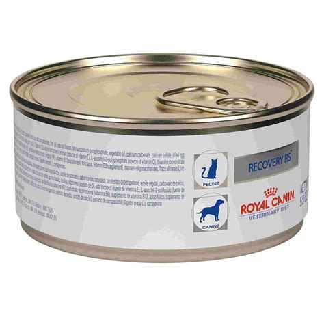 Royal Canin Veterinary Diet Recovery Wet Dog Food, 5.8 oz., Case of 24 ...