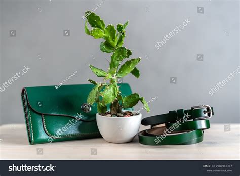 2 646 Cactus Leather 이미지 스톡 사진 및 벡터 Shutterstock