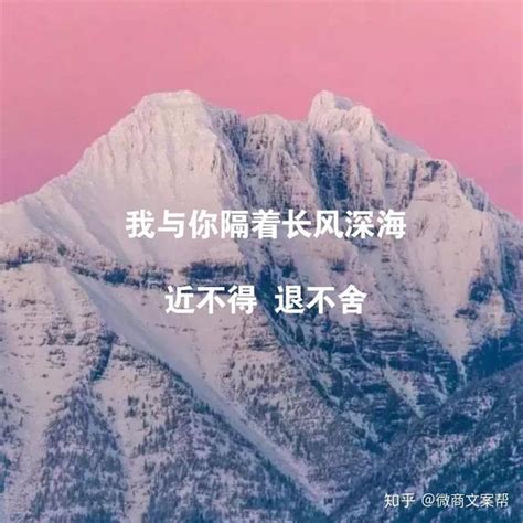 收下这20个意境绝美的句子 知乎