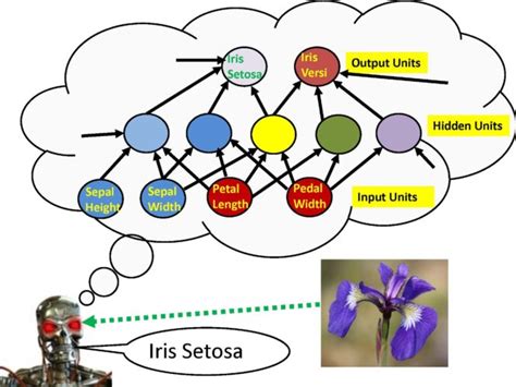 lm101 034 how to use nonlinear machine learning software to make predictions feedforward