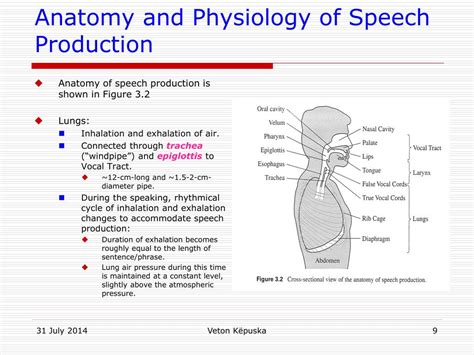 Ppt Speech Processing Powerpoint Presentation Free Download Id 2745961