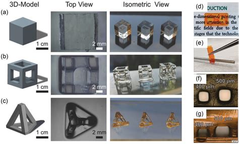3d‐printed Pdms By Ac Bhattacharjee Et Al Adapted With