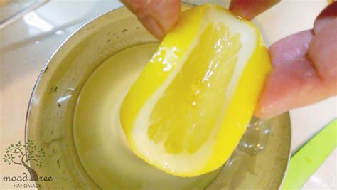 How To Preserve And Use Aloe Vera Gel As Natural Skin Care