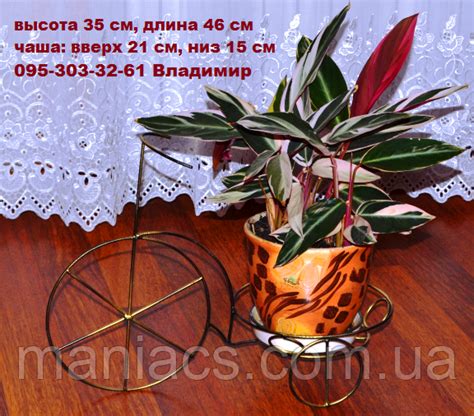 Велосипед-1, Подставка для Цветов на 1 Чашу — Купить Недорого на Bigl ...