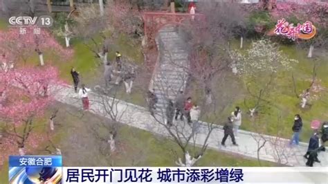 嘉兴经开区10万余株郁金香汇成浪漫“花海”