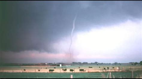 Why Tornadoes Come In Different Shapes And Sizes
