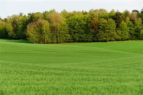 Rodzaje działek gruntowych klasyfikacja Geoportal pl