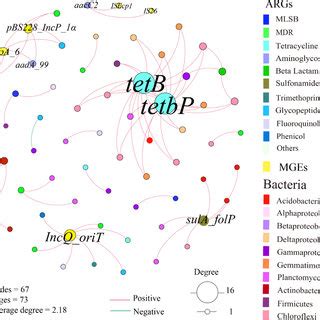-Network analysis showing the co-occurrence patterns between ARGs, MGEs ...