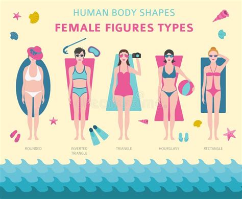 Human Body Shapes Male Figures Types Set Stock Vector Illustration