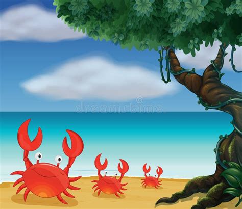Conjunto De Cangrejos Ilustración Del Vector Ilustración De Playa