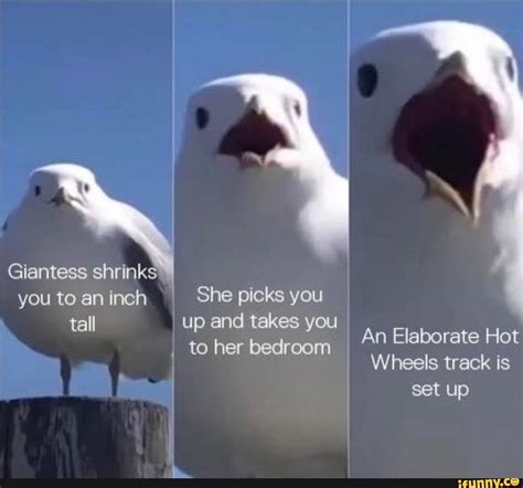 Giantess Shrinks You To An Inch She Picks You Tall Up And Takes You An Elaborate Hot Wheels