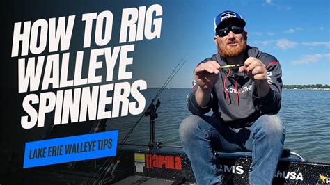 How To Rig Walleye Spinners For Lake Erie Youtube