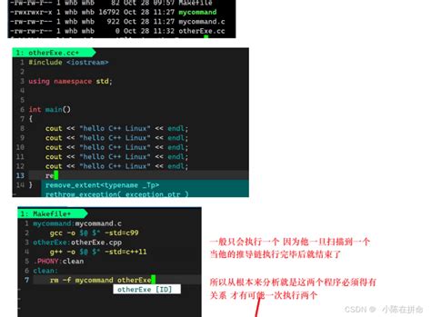 Linux系统编程：进程替换 Csdn博客