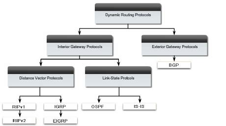 Dynamic Routing Protocols Classification Download Scientific Diagram