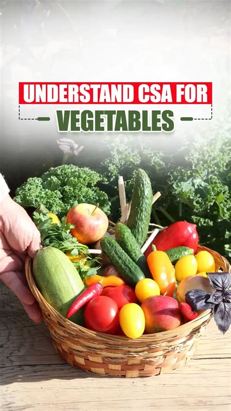 Community Supported Agriculture Csa For Fresh Vegetables