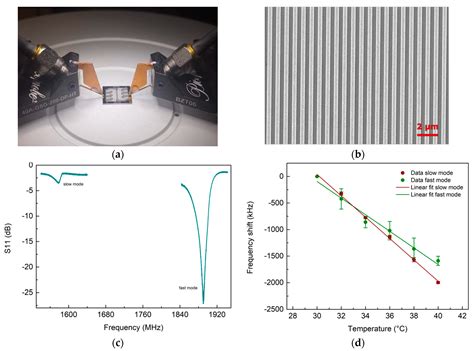 Mode Characterization And Sensitivity Evaluation Of A Surface Acoustic Wave Saw Resonator