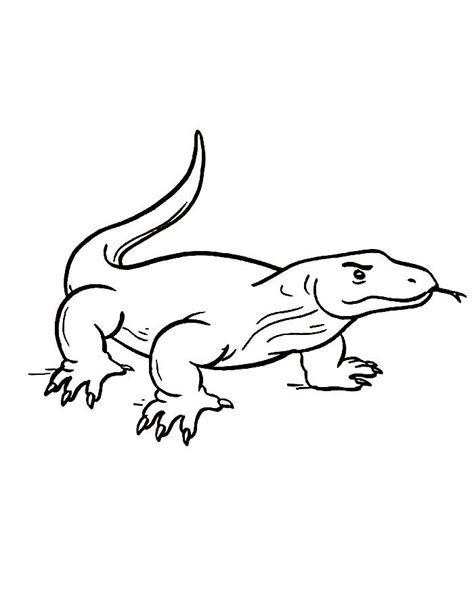 Lizard Coloring Pages Free Printable Pdf