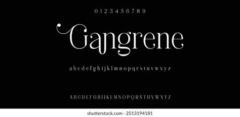 Elegant Font Aesthetic Uppercase Lowercase Number Stock Vector Royalty