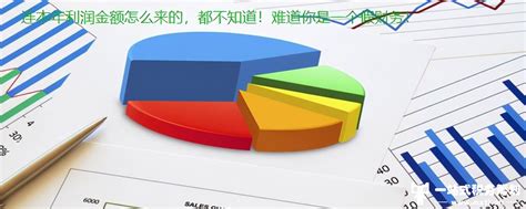 连本年利润金额怎么来的都不知道难道你是一个假财务 本年利润怎么算出来的 灵活用工平台