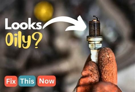 6 Reasons for Oil on Spark Plugs and How to Diagnose and Fix Them