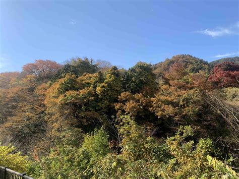 【太郎次郎滝】湧水の里・都留で癒しを。 道の駅つる【公式サイト】富士湧水の城下町 山梨県都留市