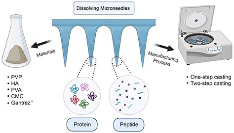 Fabrication Of Dissolving Microneedles For Transdermal Delivery Of Protein And Peptide Drugs