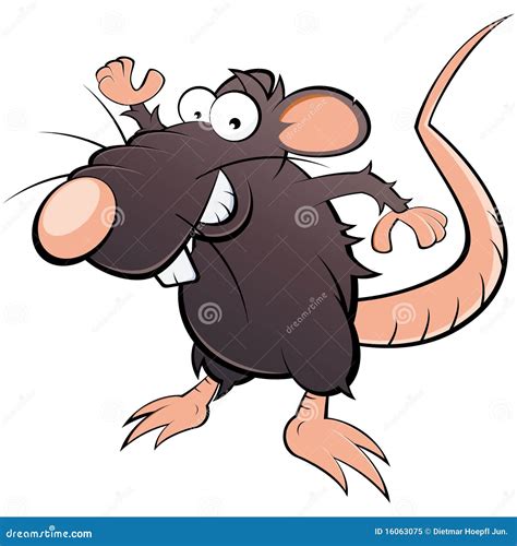 Humorous Rat Cartoon Stock Vector Illustration Of Amusing 16063075