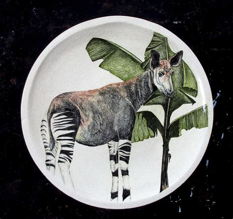 Okapi Julia Gallego Valdés