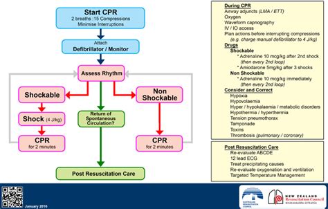 Clinical Practice Guidelines Resuscitation