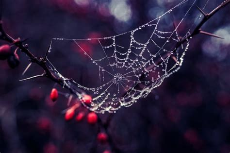 Angular Best Practices Tips For Building Robust Web Applications Kmf