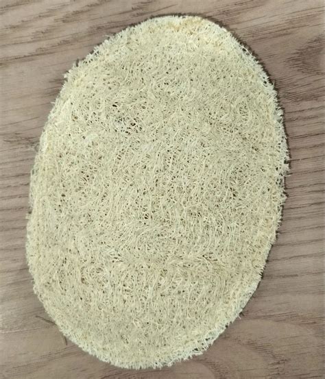 Natural Organic Loofah Body Scrubber At Rs 19 New Delhi Id