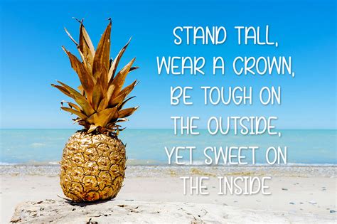 Luca Bell By Kristy Hatswell Thehungryjpeg