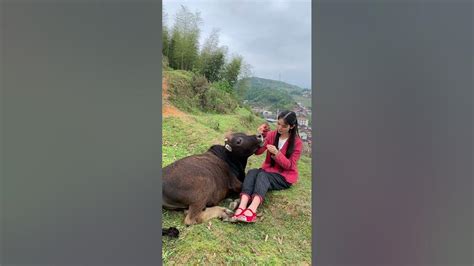喜欢笑的人不一定快乐，但喜欢对你笑的人一定希望你快乐 快手 Youtube