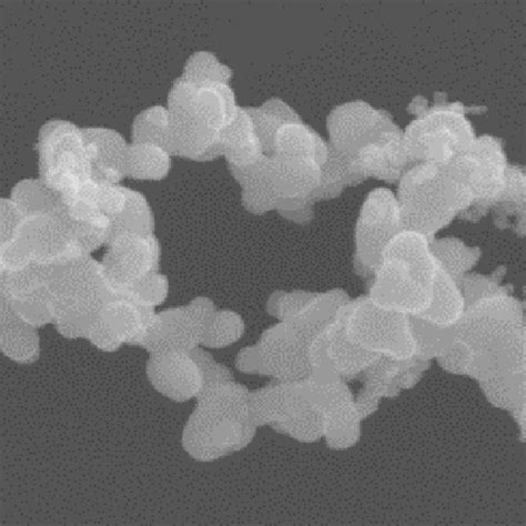 Morphology Of Ag Mno Nanoparticles Download Scientific Diagram