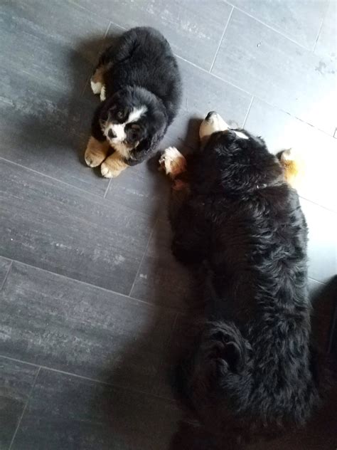 Big And Small Scrolller