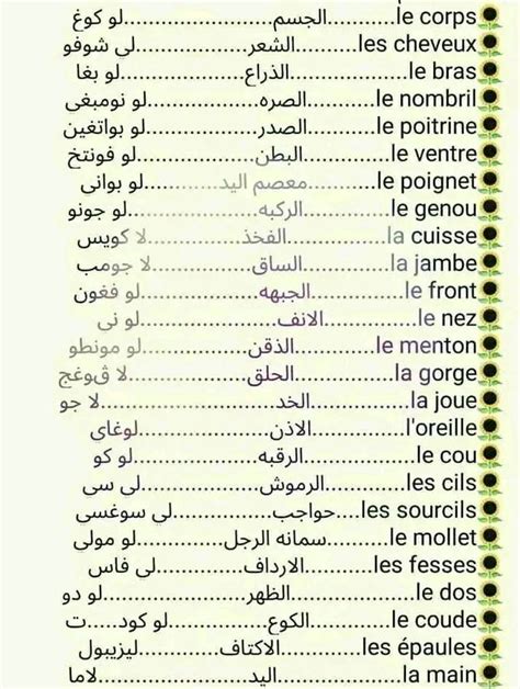 تعليم الفرنسية بسهولة كيفية تعلم الفرنسية بفعالية 🇫🇷 رابط الدخول الى