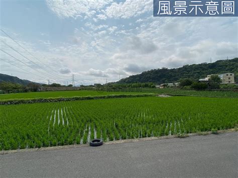 獨家后里安眉路雙面臨路有水有電農角地 台中市后里區新公館段房屋 Yc0160240 永慶不動產