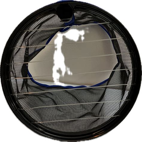 Efficient Table Tennis Ball Collectors For Quick Cleanup World Of