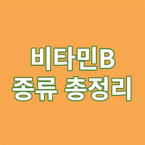 비타민b 종류 총정리