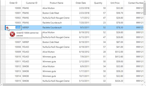 Datavalidation In Sfdatagrid Syncfusion