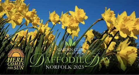 Garden Club Of Virginia Daffodil Day 2023