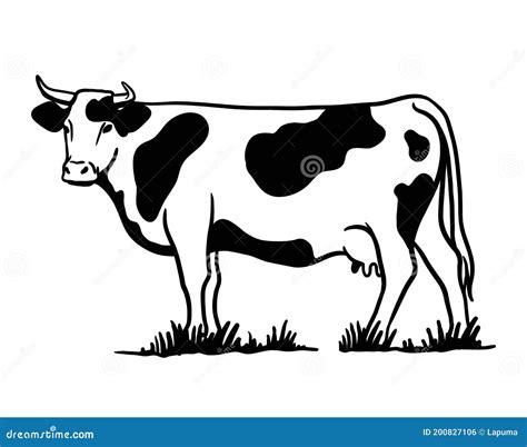 Breeding Cattle Silhouette Of A Grazing Cow Stock Vector