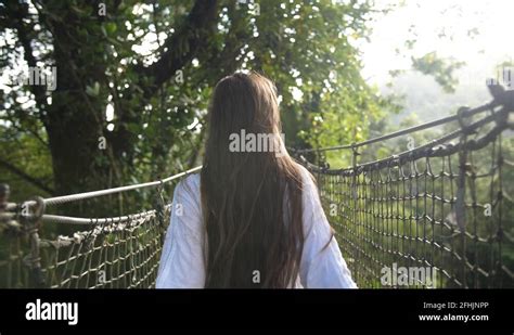 Tree Top Walking Stock Videos Footage HD And 4K Video Clips Alamy