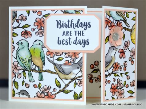 Double Front Flap Card Video JanB Cards