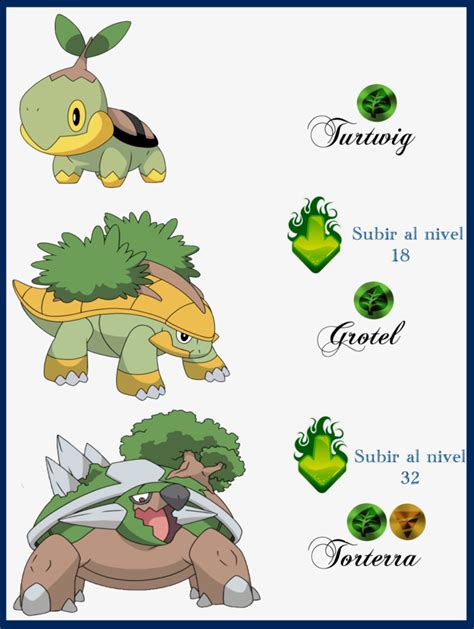 Turtwig Wallpaper Wallpapersafari
